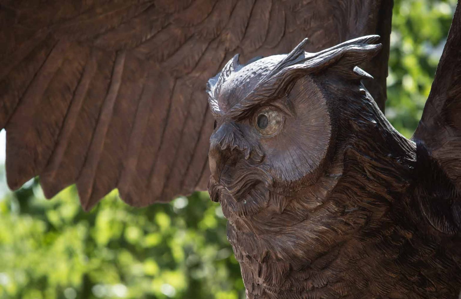 Partner With STHM - School of Sport, Tourism and Hospitality Management